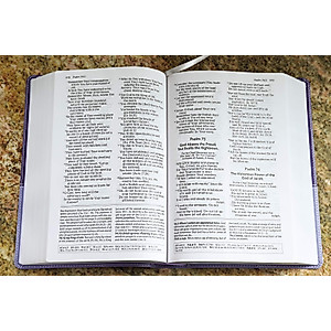 The Amplified Study Bible, Leathersoft, Purple