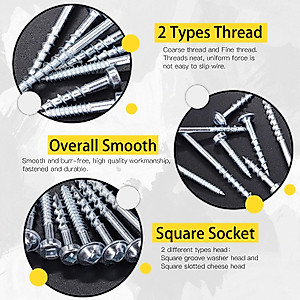 Hilitchi #8 Alloy Steel Zinc Pocket Hole Screws Weather Resistant Square Drive Screws with Square Drive (1 1/4 Inch Coarse Thread-280PCS)