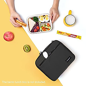 Freezable Lunch Bag,Lunch Box with Ice Packs,Small Cooler Lunch Box with Detachable Ice Packs,Small Insulated Cooler Bag,Freezable Lunch Bags with Durable Zippers,Freezable Lunch Box For School/Work