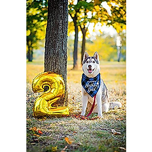 YHTWIN Funny Cute Cotton Blue Plaid Happy Birthday Dad Pet Dog Bandanas, Pet Birthday Party Decorations Supplies Dad Dog Birthday Triangle Bibs, Dog Lover Prop Pet Accessories Gift