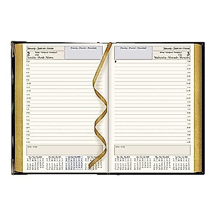 Brownline 2024 Executive Daily Planner, Appointment Book, 12 Months, January to December, Sewn Binding, 7.125" x 4.875", Trilingual, Assorted Colors (CBE504.ASX-24)