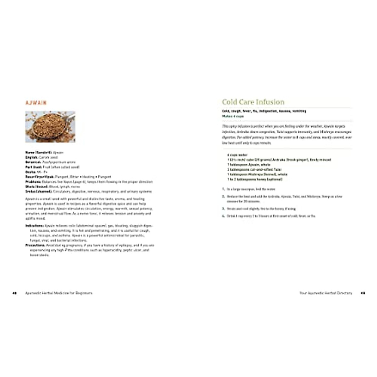 Ayurvedic Herbal Medicine for Beginners: More Than 100 Remedies for Wellness and Balance