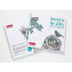 Adult Coloring Book and Coloursoft Colored Pencils: Color and Relax - Unwind in the Wilds by Derwent (2302339)