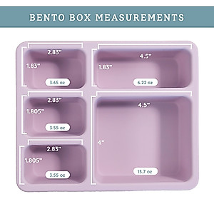 Austin Baby Co Leak-Proof Bento Lunch Box for Kids – Silicone Kids Lunch Container with 5 Leakproof Compartments – Food-Safe Materials, Sturdy, Dishwasher Safe, and BPA Free