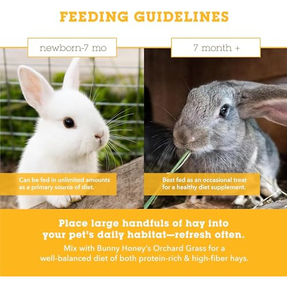 5 Lbs Fresh Alfalfa Hay by Bunny Honey - USDA Organic Natural Hay for Guinea Pigs, Rabbits, Hamsters, Hedgehogs, and More Small Select Animal Pets - 2nd Cut Fresh from Farm (5LB)