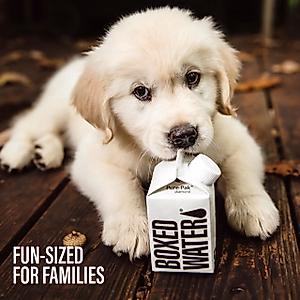 Boxed Water 8.5 oz. (24 Pack) – Purified Drinking Water in 92% Plant-Based Boxes, 100% Recyclable, BPA-Free, Refillable Cartons, Sustainable Alternative to Plastic Bottled Water, Mini Water for Kids