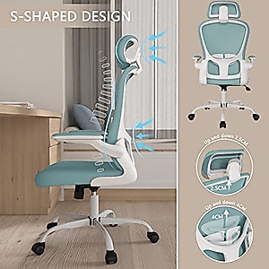 Office Chair, High Back Ergonomic Desk Chair, Breathable Mesh Desk Chair with Adjustable Lumbar Support and Headrest, Swivel Task Chair with flip-up Armrests, Executive Chair for Home Office