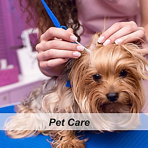 800 Pieces Cotton Swabs, Double Tipped Precision Tips Cotton Buds Spiral Head Multipurpose Safe Highly Absorbent Hygienic Cleaning Sterile Sticks (4 Packs, 200 Pcs, 1 Pack)