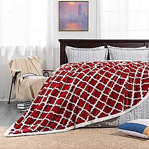 Basic Beyond Fleece Sherpa Throw Blanket - Soft Cozy Red Throw Blanket with 3D Jacquard Design for Couch,Bed,Travel,Camping,Red,50"x60"