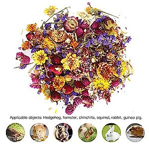 GLOGLOW Small Pet Bedding, Dried Flowers Padding for Squirrels Guinea Pigs Rabbits Chinchillas Hamsters Gerbils(100g) Treats