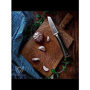 Dalstrong Paring Knife - 3.5" - Vanquish Series - Forged High Carbon German Steel - POM Handle - NSF Certified