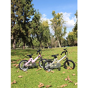 NiceC Kids BMX Bike, Princess Pink, 14 inch, Adjustable, Training Wheels Included