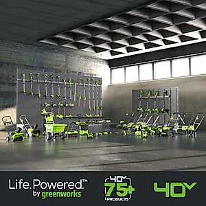 Greenworks 40V 16" Brushless Cordless Chainsaw (Gen 2) (Great For Tree Felling, Limbing, Pruning, and Firewood / 75+ Compatible Tools), 4.0Ah Battery and Charger Included