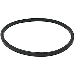 AppliaFit Lid Seal and O-Ring Compatible with Jandy R0446200 for Zodiac and Jandy JEP, SHPF, SHPM and SWF Pool Pumps 1-Pack (2 Pieces)