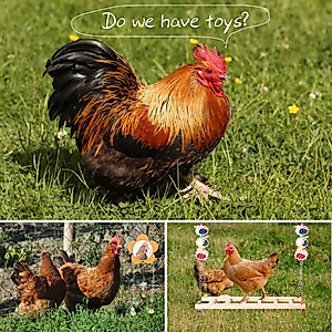 KAKUNM Chicken Toys for Coop Accessories 6PCS | Chicken Swing | Chicken Xylophone | Chicken Mirror Toy | Chicken Vegetable String Bag and Hanging Feeder