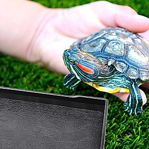 YOLUFER Reptile Food Water Bowl Plate Dish for Tortoise Crawl Pet Drinking and Eating Hallow Water Dish for Reptiles (Size3-L)