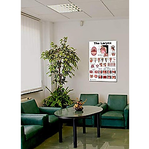 Blue Tree Publishing Larynx LP Poster, voice, education, vocal folds, mouth, head cutview, vocal pathology, size 24Wx36T