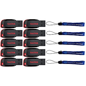 SanDisk Cruzer Blade 8GB (10 pack) USB 2.0 Flash Drive Jump Drive Thumb Drive SDCZ50-008G-10PK w/ (5) Everything But Stromboli (TM) Lanyard