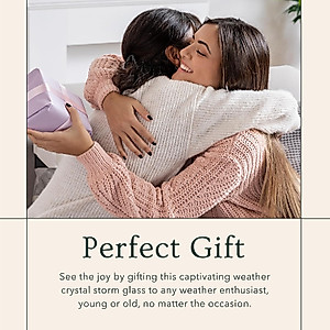 Blackswan Storm Glass Weather Predictor Crystal Swan Figurine | Unique Barometer Personal Weather Station for Office Home Decor for Men, Women, Kids, Adults | Liquid Pressure Meteorology Tools