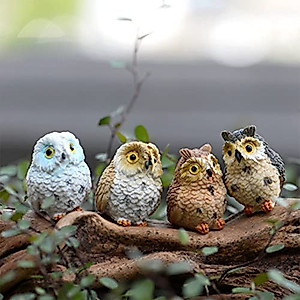 BOLWHAO Feijinmao 12 pcs Miniature Owl Figurines Resin Miniature Owl Fairy Garden Decor Owl Landscape Garden Decoration Mini Owls Figurines Fairy Garden Accessories