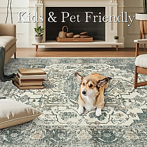 xilixili 8x10 Washable Area Rugs for Living Room - Soft Non-Slip Machine Washable Low Pile Rugs, Large Stain Resistant Home Decor Carpets for Bedroom,Living Room,Dining Room (Blue,8x10)