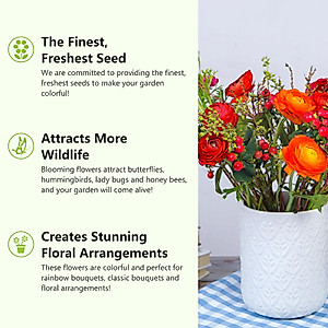 LUOJIBIE Moss Rose Seeds, 10,000+ Bulk Flower Seeds for Planting Outdoors(99% Pure Live Seeds, Non-GMO), Mixed Colors and Large Blooms, Annual Perennial, Easy to Grow, Attracts Pollinators