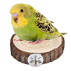Litewoo Bird Pine Platform Perch for Parakeet Cockatiel Budgie Lovebird Canary Small Bird Parrot (L)