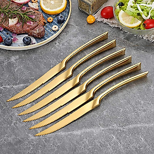 Lemeya 26 Pieces Silverware Set includes 20 Pieces Stainless Steel Flatware Set and 6 Pieces Steak Knives Set，Mirror Polished, Dishwasher Safe