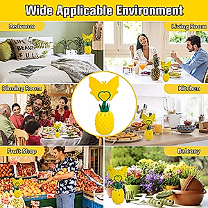 HiAnifri Fruit Fly Trap for Indoors, 2023 Upgrade Fruit Fly Trap with Double Side Sticky Trap, Non-Toxic Reusable Fly Catcher Gnats Killer Trap Indoor Comes with Bait for Home/Plant/Kitchen (2 Pack)