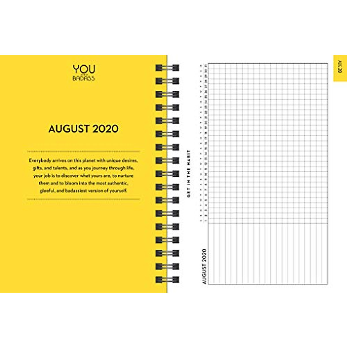 You Are a Badass 17-Month 2020-2021 Monthly/Weekly Planning Calendar: Deluxe Organizer (August 2020-December 2021)