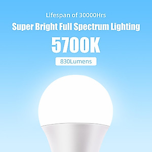 realmoon Full Spectrum Sun Light Bulb - A19 9W, Boosts Energy, Mood & Performance, Near-Perfect Color Rendering, Imitate Sunlight Indoors for a Happy Life, American Pry LED Beads,CRI of 98+
