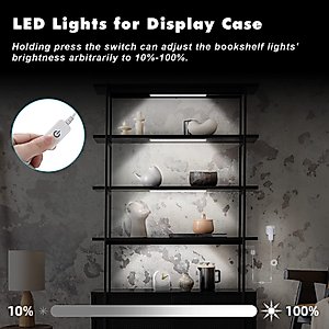 JUSJUBR 4-Pack Cold White Display Shelf Lights, Under Shelf Lighting with Memory Function, 12 Inch 6000K Plug-in Bookshelf Lighting, LED Cabinet Lights for Display Case/Pantry/Closet/Safe