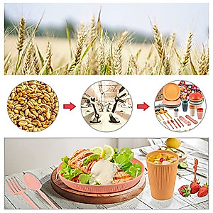 Wheat Straw Dinnerware Sets for 6(55 PCS), Lanveda Kitchen Dinnerware Sets Include Dinner Plates, Cereal Bowls, Cups, Flatwares, Portable Bag, Lightweight Outdoor Colorful Party Dinnerware Sets