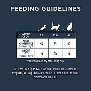 Instinct Raw Boost Grain Free Recipe with Real Chicken Natural Dry Cat Food, 10 lb. Bag