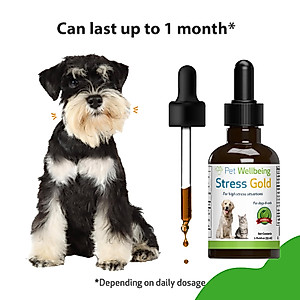 Pet Wellbeing Stress Gold for Dogs - Vet-Formulated - Calming and Relaxing Support for High-Stress Situations - Natural Herbal Supplement 2 oz (59 ml)