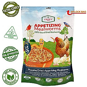Amzey Dried Mealworms -2 LBS- 100% Natural Non GMO Mealworms -Food for Chicken- High Protein Mealworms for Bird, Duck Food, Bearded Dragon Diet, Gecko Food, Turtle Food, Lizard Food - Bulk Mealworms
