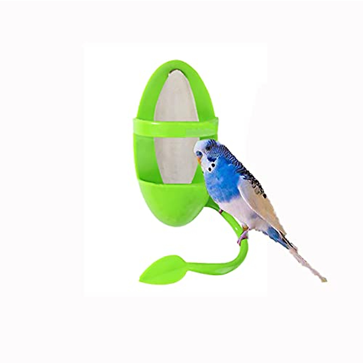 OSWINMART Cuttlefish Bone with Holder (1+2) Sets for Birds Handcraft Polish Cuttlebones Treat Feeder Food Basket for Fruit Vegetable Grain Wheat Stick Holder Suit Small to Regular Size Birds