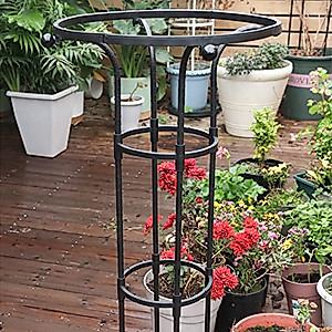 Garden Trellis for Climbing Plants Outdoor, Indoor Plant Support Trellis Metal for Potted Plants Climbing Flowers Vegetable, Rustproof Trellis Vine Rose for Vertical Climbing
