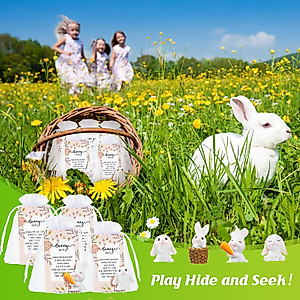 Fumete 36 Set Bunny Hug Party Favors Include Miniature Bunny Cupcake Toppers Inspirational Bunny Hug Card Organza Bag Gifts for Bunny Birthday Decorations Rabbit Autumn Baby Shower Bridal Wedding