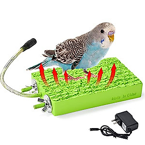 Bird Heated for Cage, Bird Heating Station Plate Bird Perch Stand for Exotic Pet Bird,Small Birds,African Grey,Parakeets Parrots,12v 5w 3.3"x6"