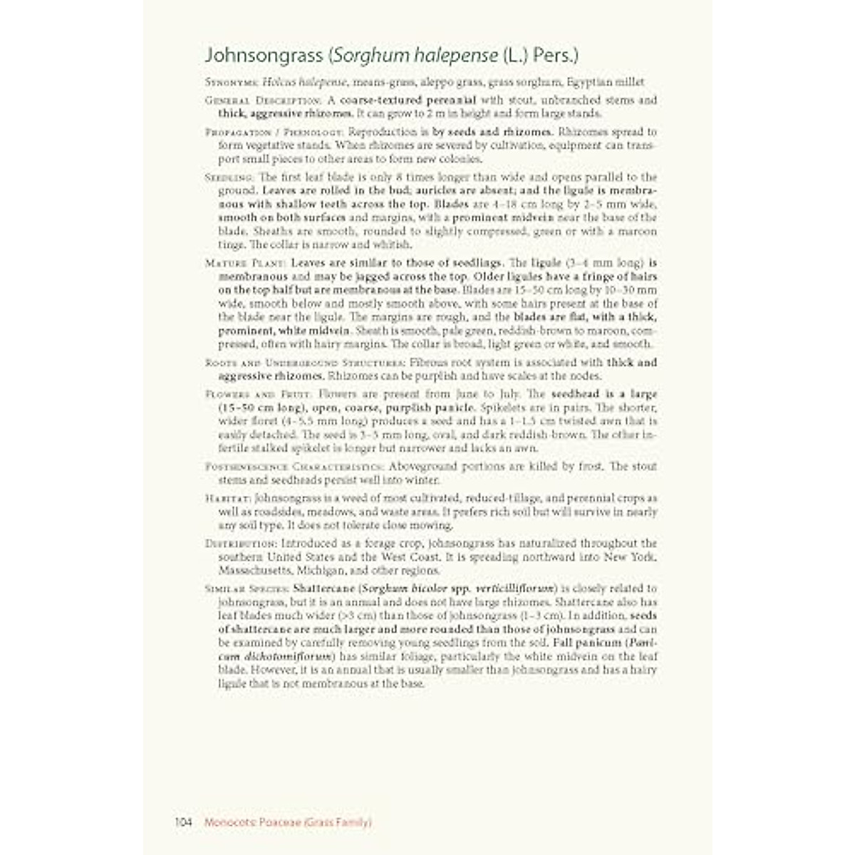 Weeds of the Northeast