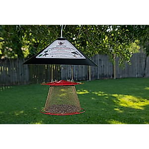 Collapsible Hanging Mesh Wild Bird Feeder - for Red Cardinals, Finch, Perching, Clinging and Hanging Birds - All Metal Premium Construction and Zinc Plated Resists Rust - by Squirrel Guard