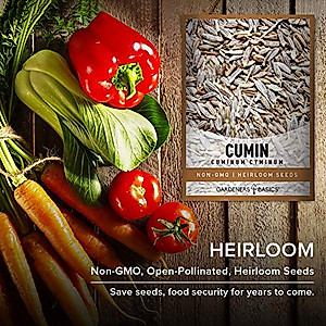 Cumin Seeds for Planting is A Heirloom, Non-GMO Herb Variety- Cuminum Cyminum Herb Seeds Great for Indoor and Outdoor Gardening by Gardeners Basics