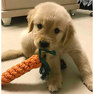 Squeaky Plush Large Dog Toy & Cotton Rope Chew Toy Kit, Cute Elephant Stuffed Toy and Carrot Teething Tug of War Rope Knot Toy Set for Small Medium Large Breed Holiday Birthday Gift (2 Pack)