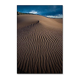 Desert Design by Dan Ballard, 30x47-Inch Canvas Wall Art