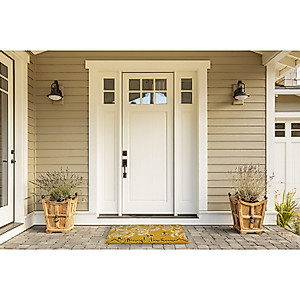 DII Natural Coir Doormat, Fun Greeting Mat, Honey I'm Home, 18x30
