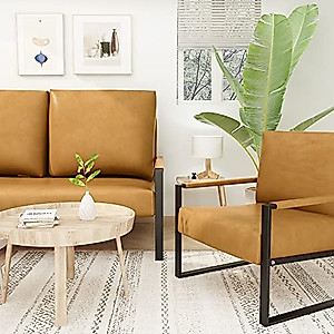 DKLGG Mid-Century Loveseats Sofa Couch, Solid Leathaire Loveseat Sofa, Upholstered Faux Leathaire Couch 2-Seat Metal Armchair, Lounge Accent Chair for Living Room, Small Space, Studio, Apartment