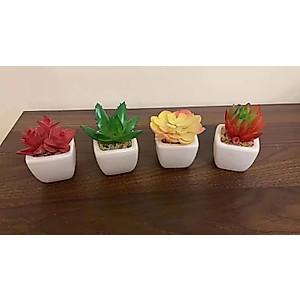 4 Pack Succulent Plants Artificial Fake Succulents in Pots Faux Succulents Fake Plants Bulk Assortment in Flocked Green Small Succulent Holder Decor for Window Landscape Garden Home Office Decor