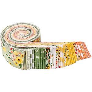 Echo Park Paper Co. Homemade Rolie Polie 40 2.5-inch Strips Jelly Roll Riley Blake RP-13720-40
