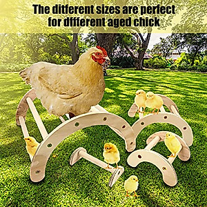 Xnuoyo Chick Perch Chick Toys,4 Pack Chicken Perch Stand Roosting Training,Chicken Wood Stand Paw Grinding Stick,Chicken Coop Accessories Toys for Chicken Brooder, Coop Baby Chicks